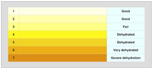 Hydrating for the heat